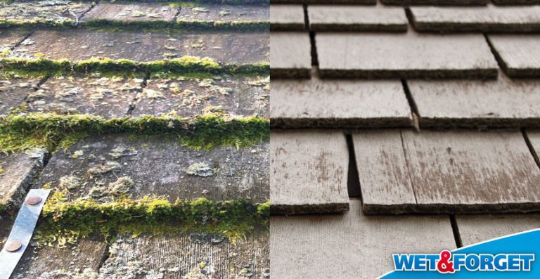 Roof Cleaning 101 - The Complete Guide - Wet & Forget Blog