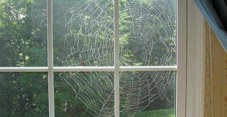 Leslie Sends Spiders Packing with Miss Muffet's Revenge - Wet & Forget Blog