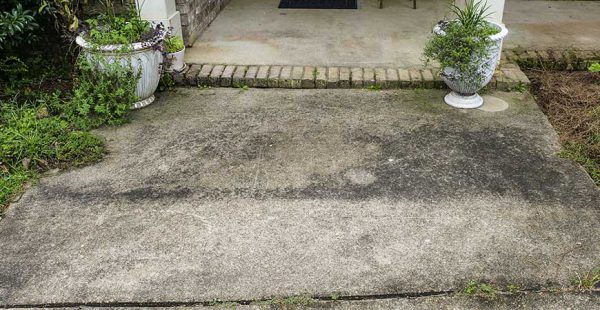 How To Easily Remove Outdoor Mildew & Mold Stains - Wet & Forget Blog