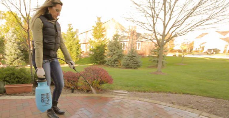 How To Apply Wet & Forget In Your Region - Wet & Forget Blog