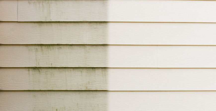 How to Clean Siding - The Basics - Wet & Forget Blog