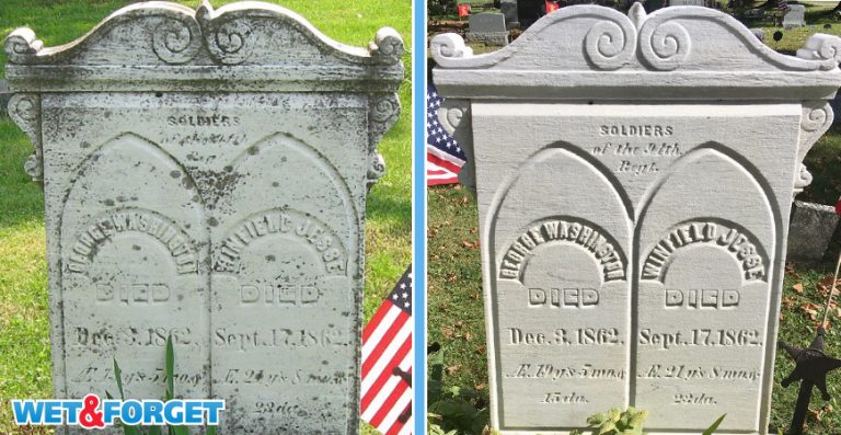 Wet & Forget Blog - Easy Cleaning. Easy Blogging.