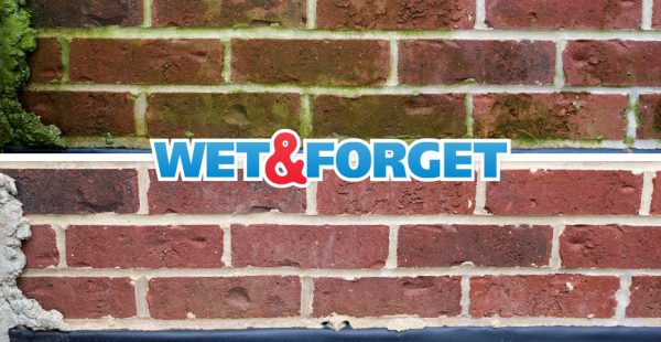 Wet & Forget Outdoor: Which Product Should I Use? - Wet & Forget Blog