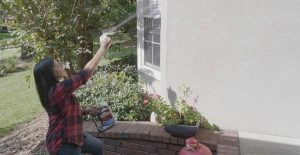 Fall Spiders: How They Get Inside and How To Get Rid of Them - Wet ...