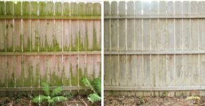 How To Clean A Fence with Wet & Forget - Wet & Forget Blog