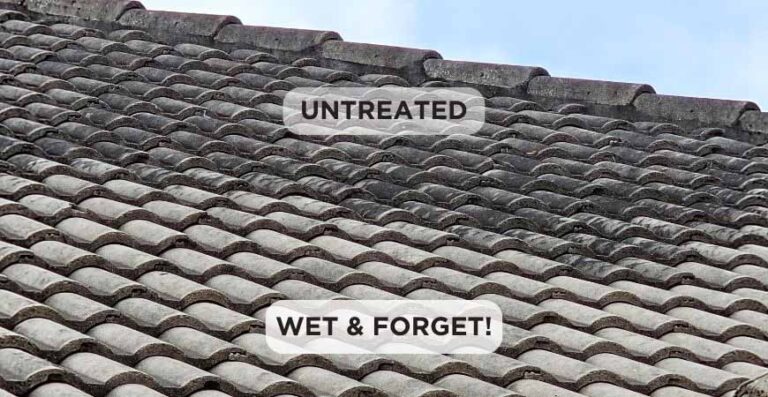 Clean Your Tile Roof with Wet & Forget - Wet & Forget Blog