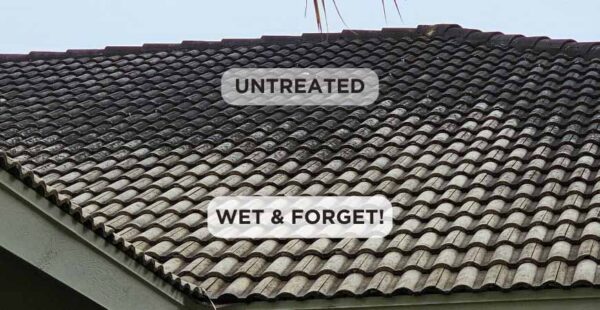 Clean Your Tile Roof with Wet & Forget - Wet & Forget Blog